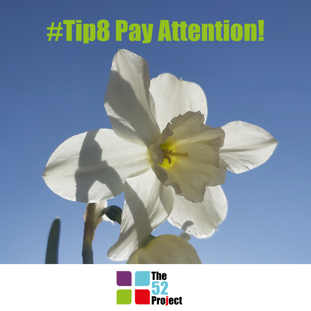 #Tip8 - Pay Attention! - The 52 Project