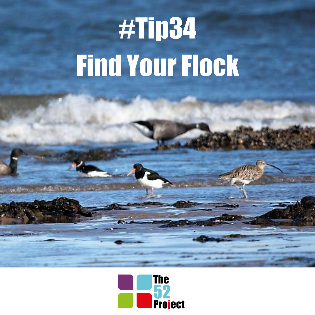 Find Your Flock - Eat, Travel & Roost Together | Tip 34 from The 52 Project